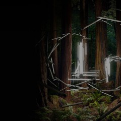 Creating Smart Albums in Lightroom - Lightroom Killer Tips