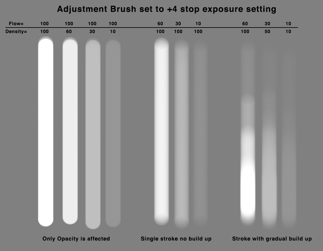 Getting the most out of your Adjustment Brush - Lightroom Killer Tips