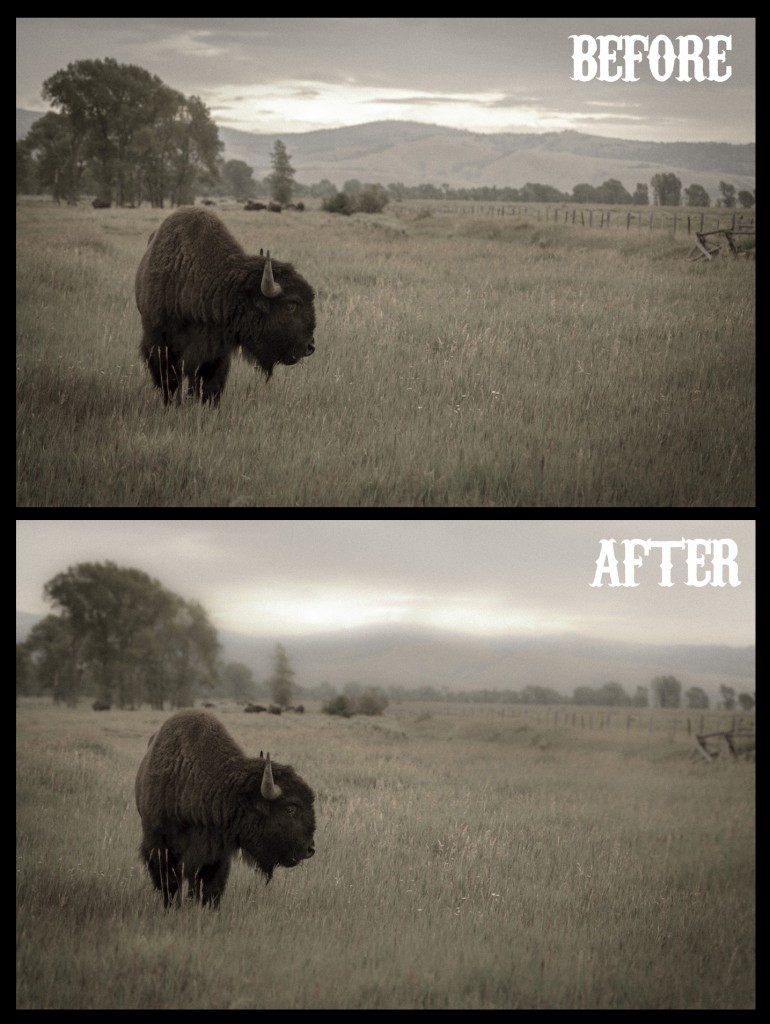 Adding Depth of Field Effects to Your Images - Lightroom Killer Tips