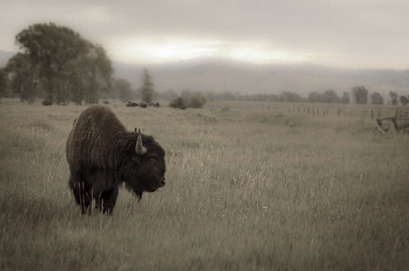 Adding Depth of Field Effects to Your Images - Lightroom Killer Tips