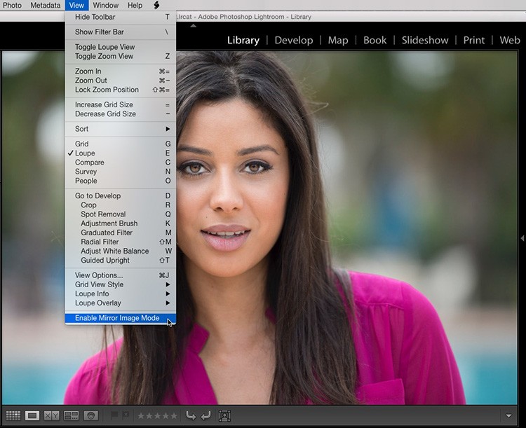 Lightroom's Mirror Image Mode - Lightroom Killer Tips
