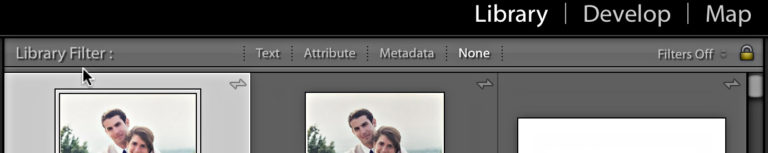 Create Custom Library Filter Presets - Lightroom Killer Tips