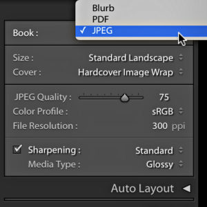 A JPG for Every Occasion - Lightroom Killer Tips