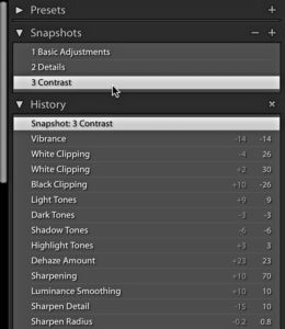 Understanding the History and Snapshots Panels: Part 2 - Lightroom ...