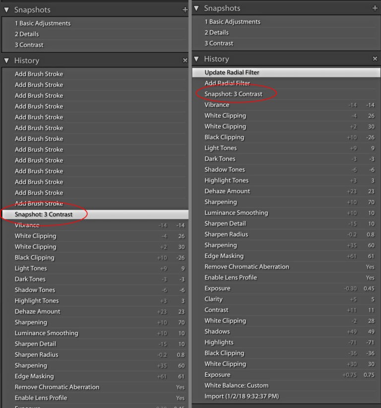 Understanding the History and Snapshots Panels: Part 2 - Lightroom ...