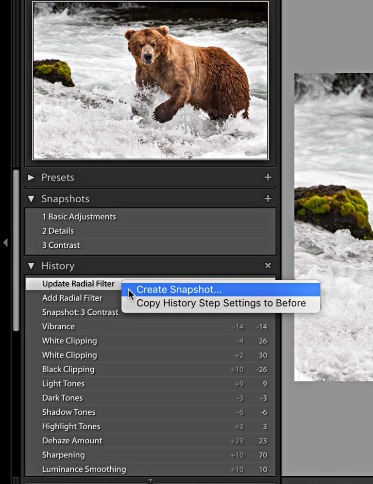 Understanding the History and Snapshots Panels: Part 2 - Lightroom ...