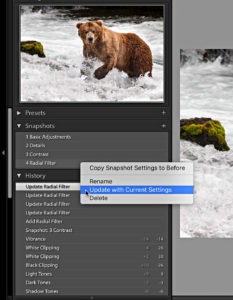 Understanding the History and Snapshots Panels: Part 2 - Lightroom ...