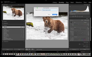 Understanding the History and Snapshots panels: Part 1 - Lightroom ...
