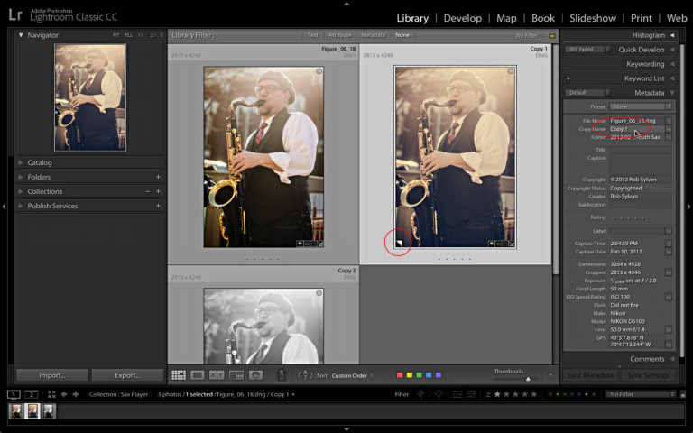 Making Use of the Copy Name Field with Virtual Copies - Lightroom ...