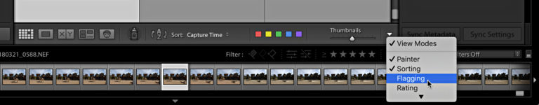 Grid, Loupe, Compare, and Survey View: Which One to Use? - Lightroom ...