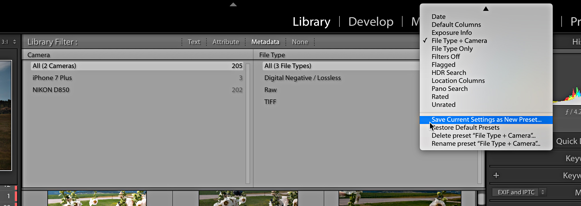 A Look at Filtering: Part 2 - Lightroom Killer Tips