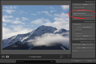 Lightroom Classic: What You Need To Know About Backing Up to a ...