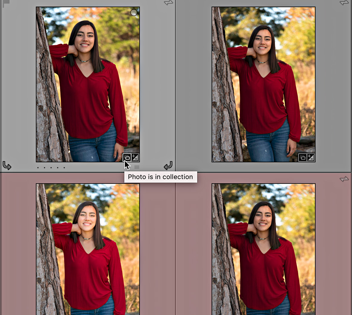 All Synced Photographs - Lightroom Killer Tips