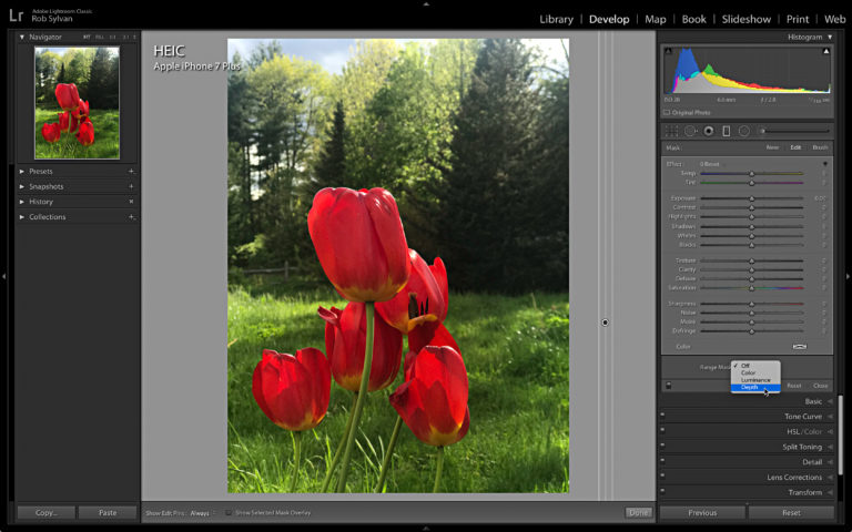 Exploring Range Mask Options: Depth - Lightroom Killer Tips