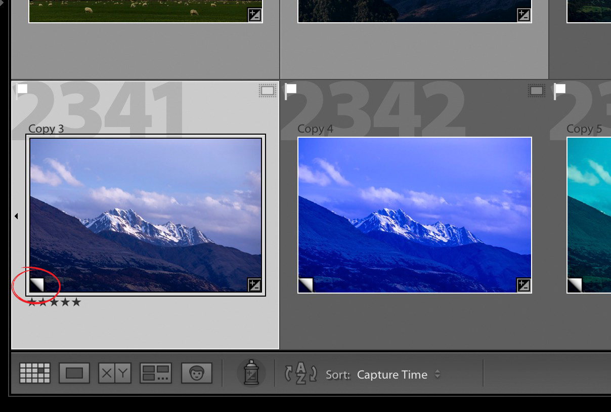 How To Use Virtual Copies to Nail Your Creative White Balance ...