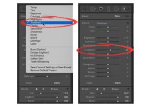 My 10 Favorite Hidden “Reset” Buttons in Lightroom - Lightroom Killer Tips