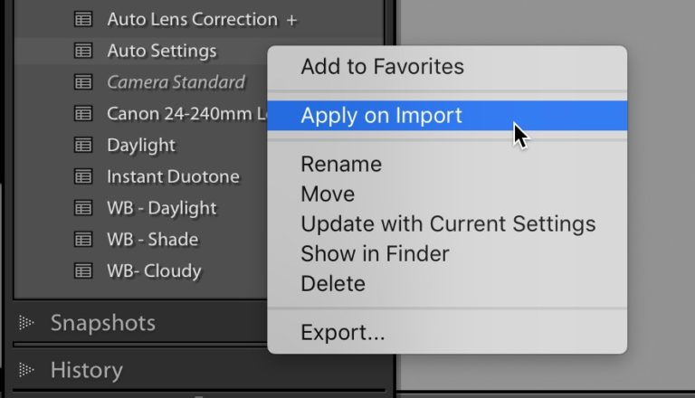 How to Apply An Auto Correction Automatically On Import (and why you ...
