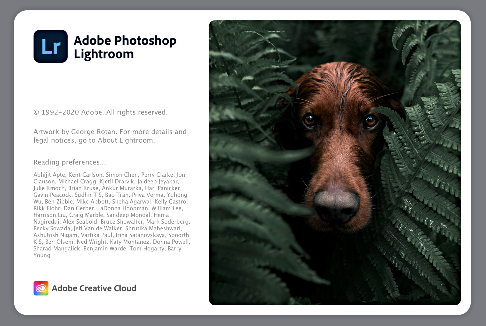 June 2020 Feature Updates to Lightroom Classic and Lightroom Cloud ...