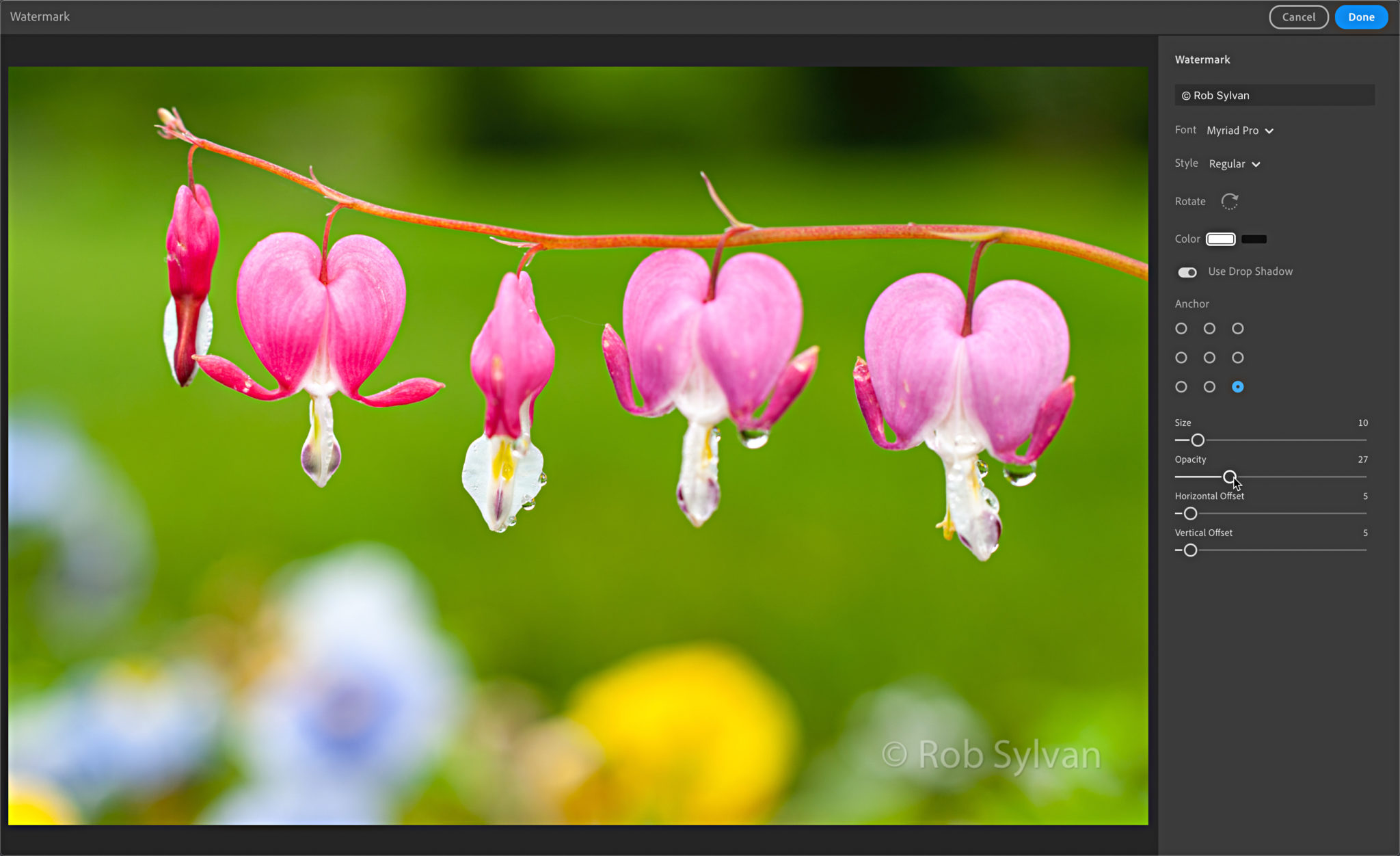 June 2020 Feature Updates to Lightroom Classic and Lightroom Cloud ...