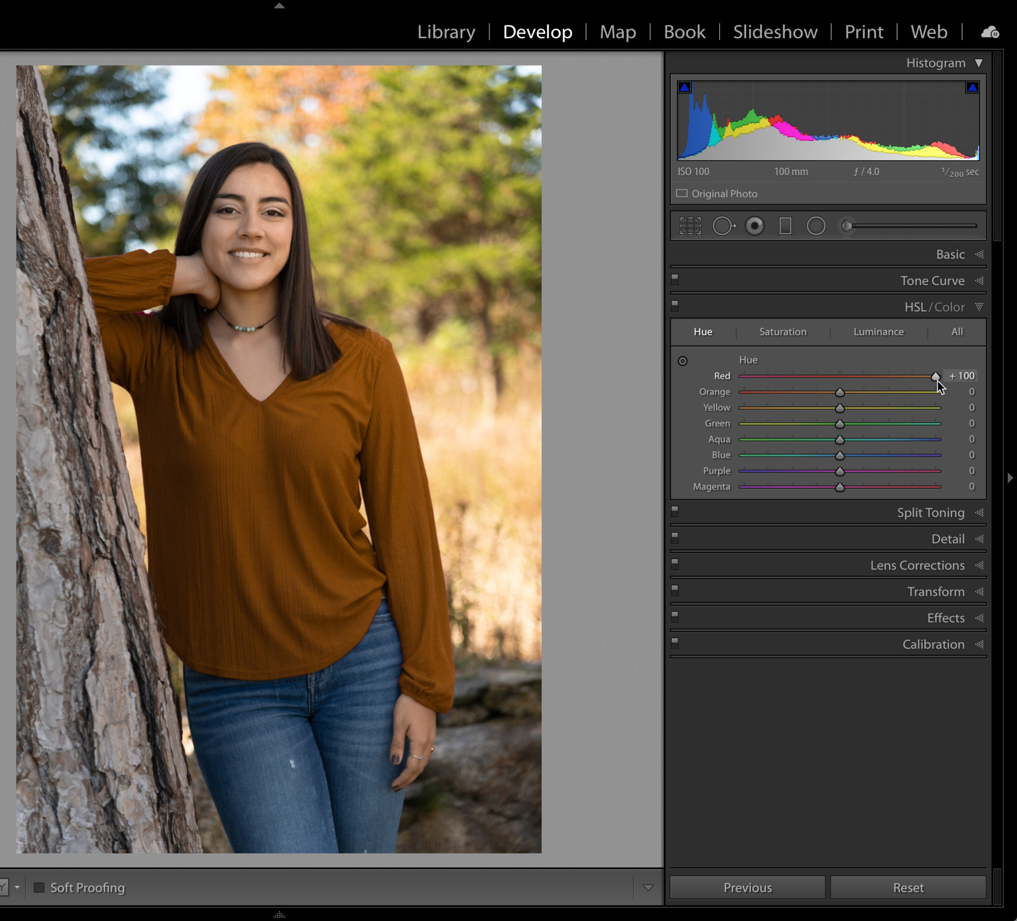 Explore the New Hue Controls in the Local Adjustment Tools - Lightroom ...