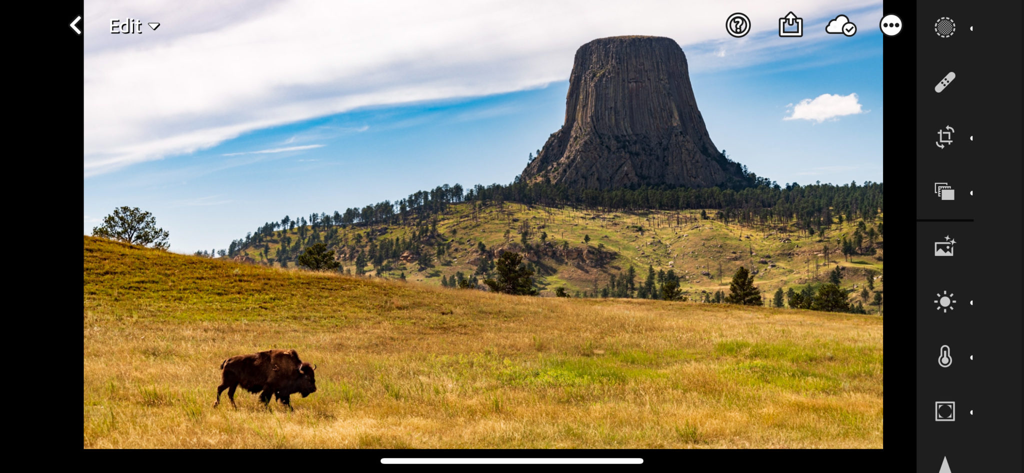 Setting Album Covers in Lightroom Cloud Apps - Lightroom Killer Tips