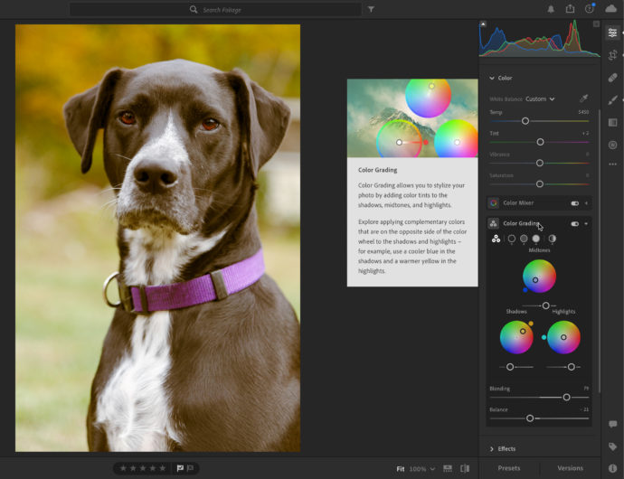 Introducing Color Grading - Lightroom Killer Tips