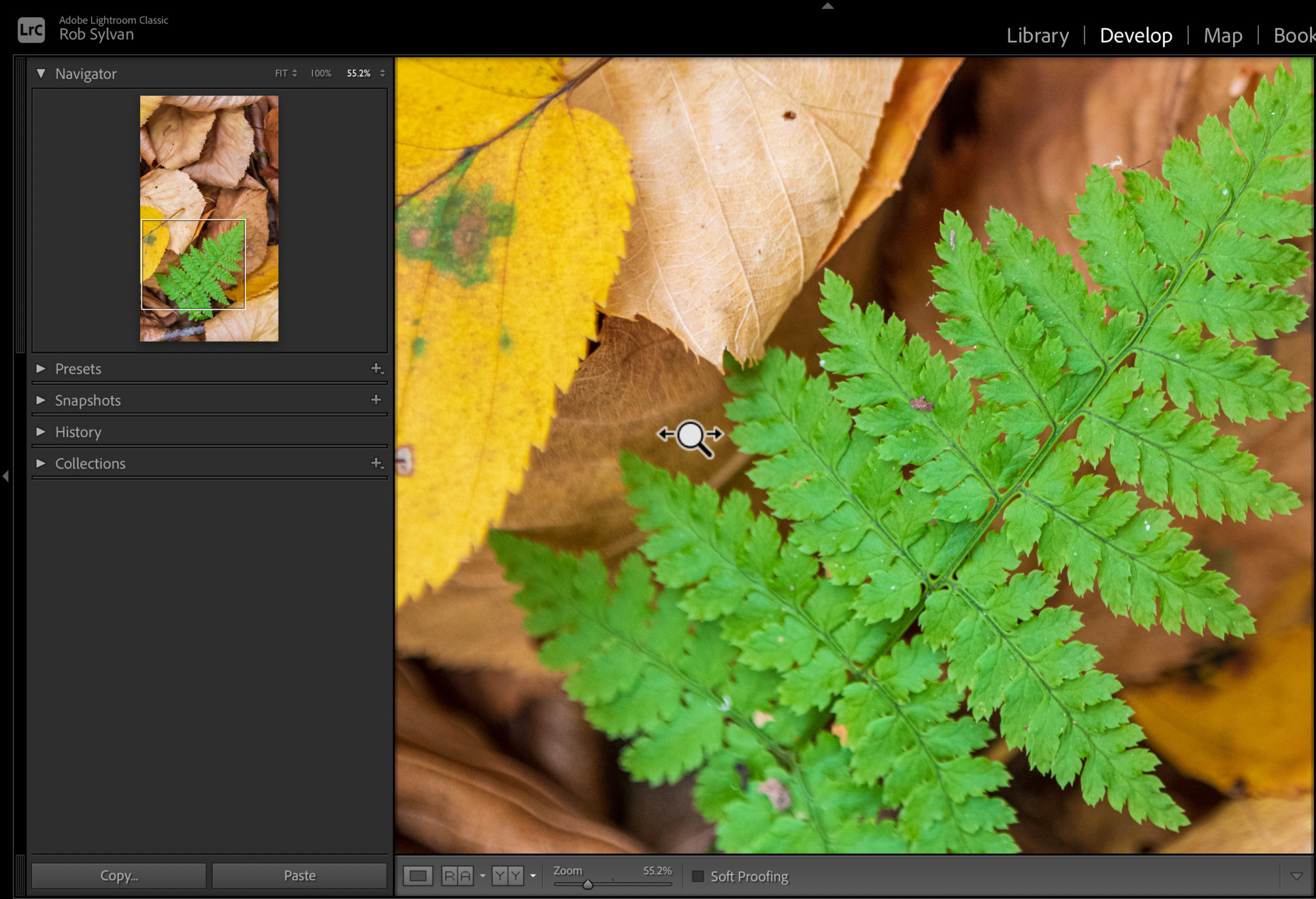 October 2020 Lightroom Updates - Lightroom Killer Tips
