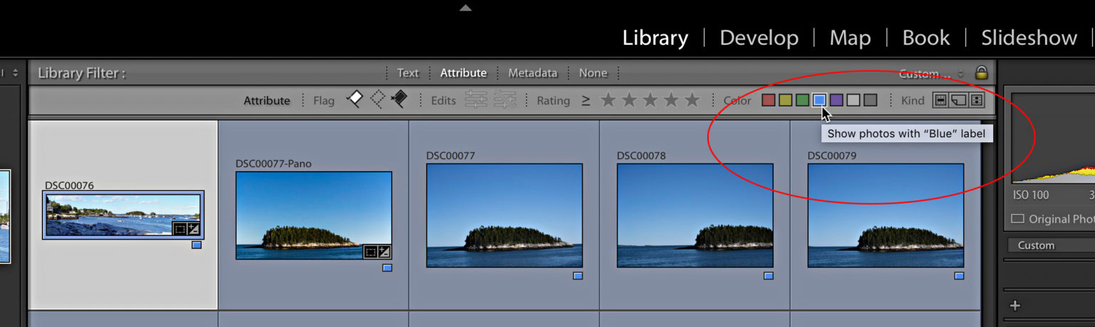 Making the Most of Color Labels in Lightroom Classic: Part 2 ...