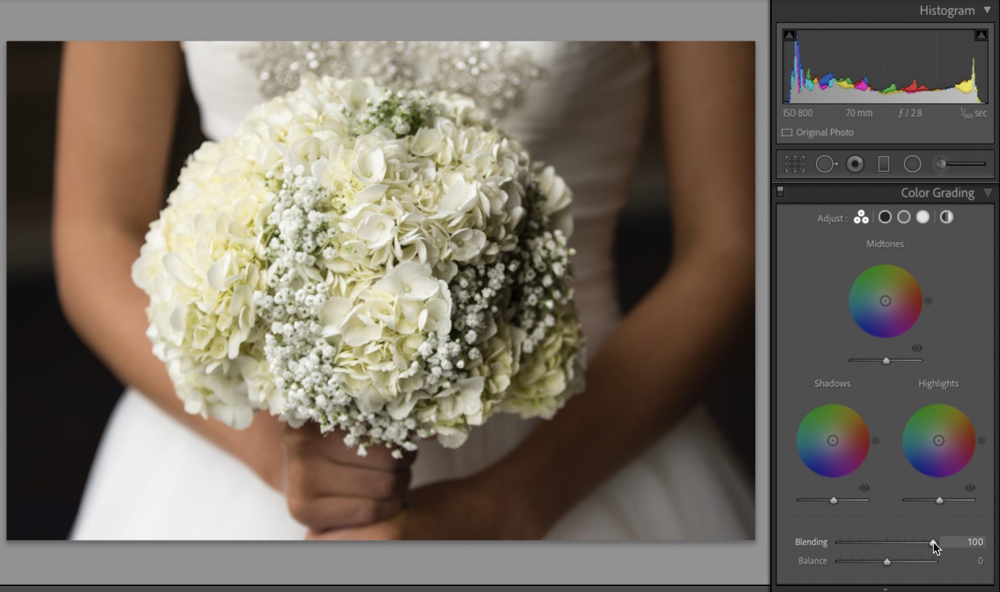 How To Do Regular Ol' Split Toning In Lightroom's New Color Grading ...