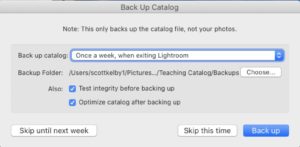Right Now, Go Backup Your Lightroom Classic Catalog (and here's how ...