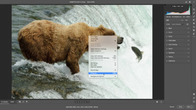 How to Take Advantage of Super Resolution from Lightroom Classic ...
