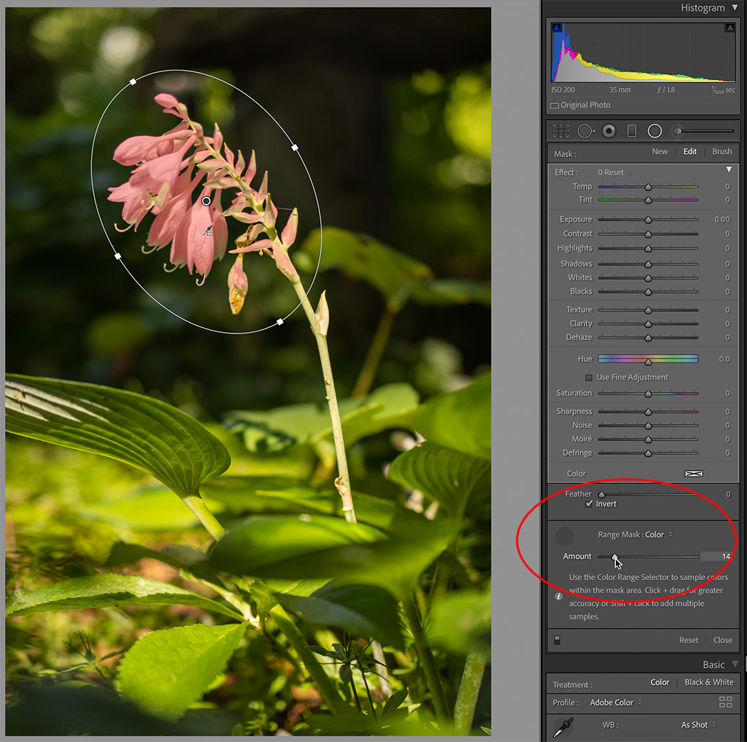 Intersect Mask - Lightroom Killer Tips