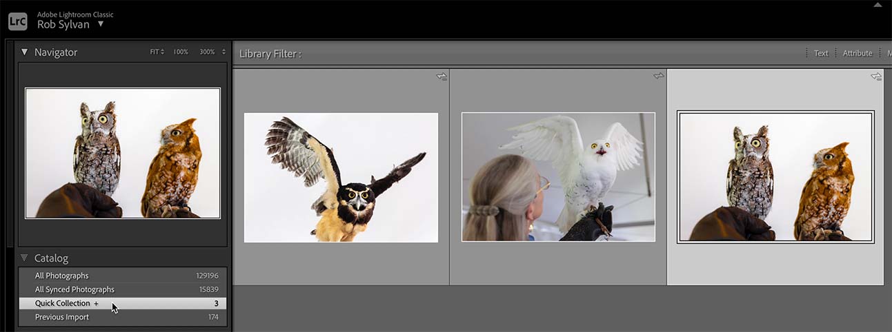 Target Collection and Target Album - Lightroom Killer Tips