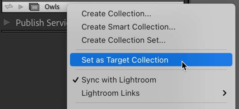 Target Collection and Target Album - Lightroom Killer Tips