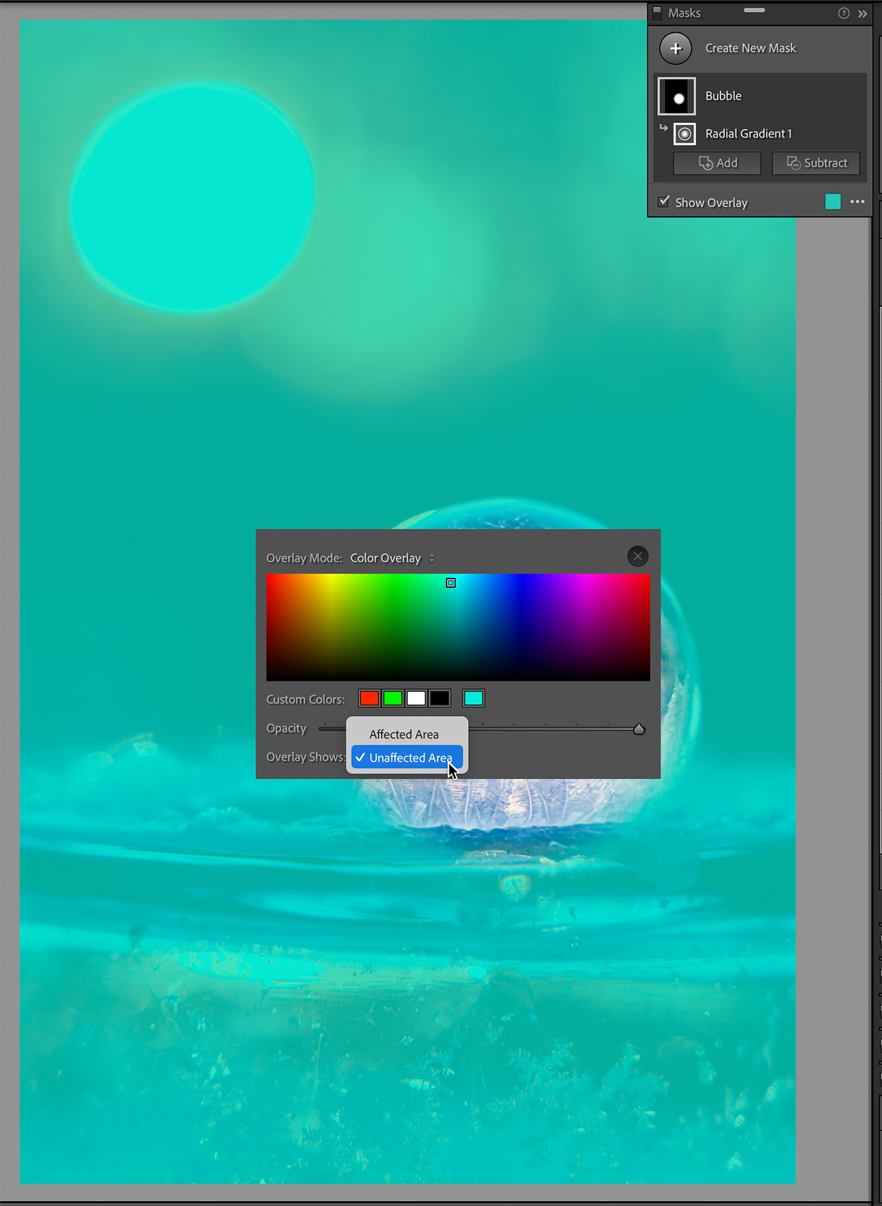 Exploring Masking Overlay Options - Lightroom Killer Tips