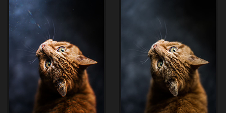 Boris FX Optics: Lens Flares & Film Effects in Lightroom - Lightroom ...