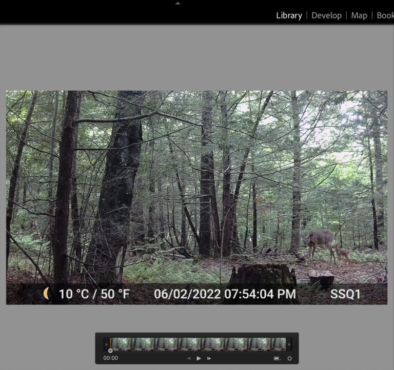 Editing Video in Lightroom Classic (LrC) - Lightroom Killer Tips