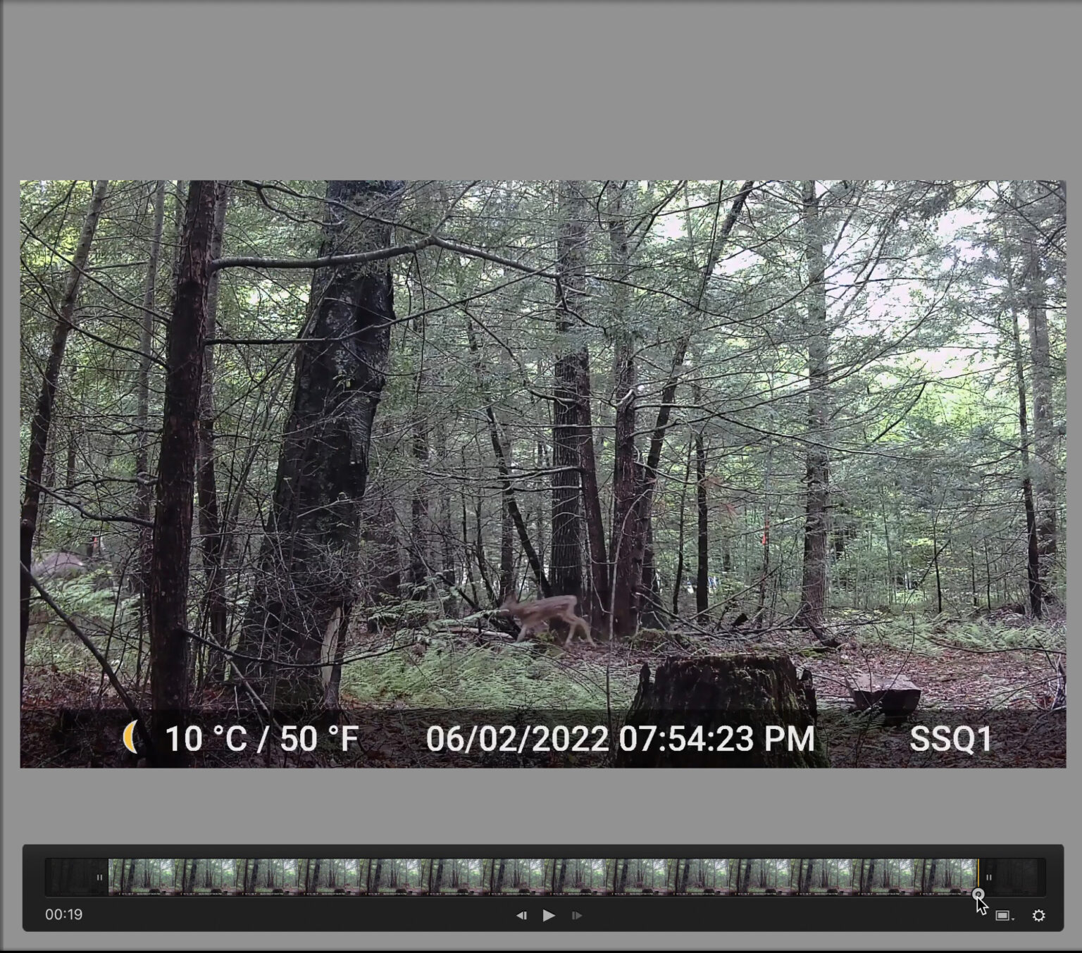 Editing Video in Lightroom Classic (LrC) - Lightroom Killer Tips