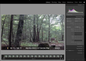 Editing Video in Lightroom Classic (LrC) - Lightroom Killer Tips