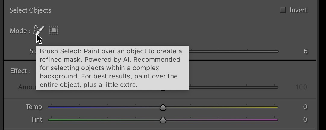Select Objects - Lightroom Killer Tips