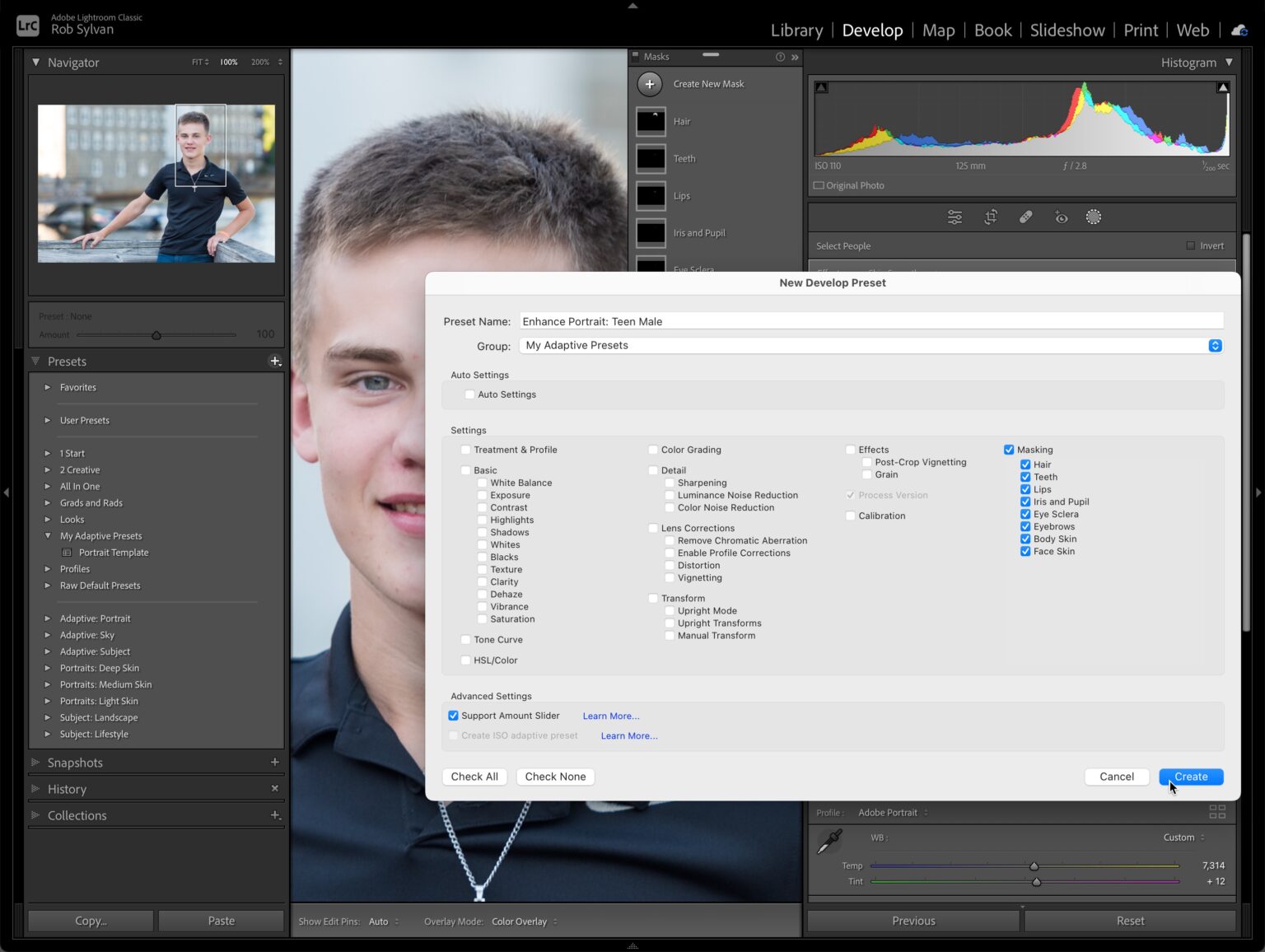 Adaptive Presets in Lightroom Classic: Part 2 - Lightroom Killer Tips