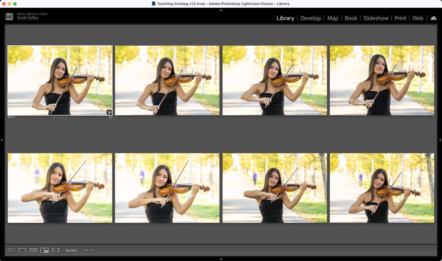 How Lightroom Classic's "Survey Mode" Makes Finding Your Best Image ...