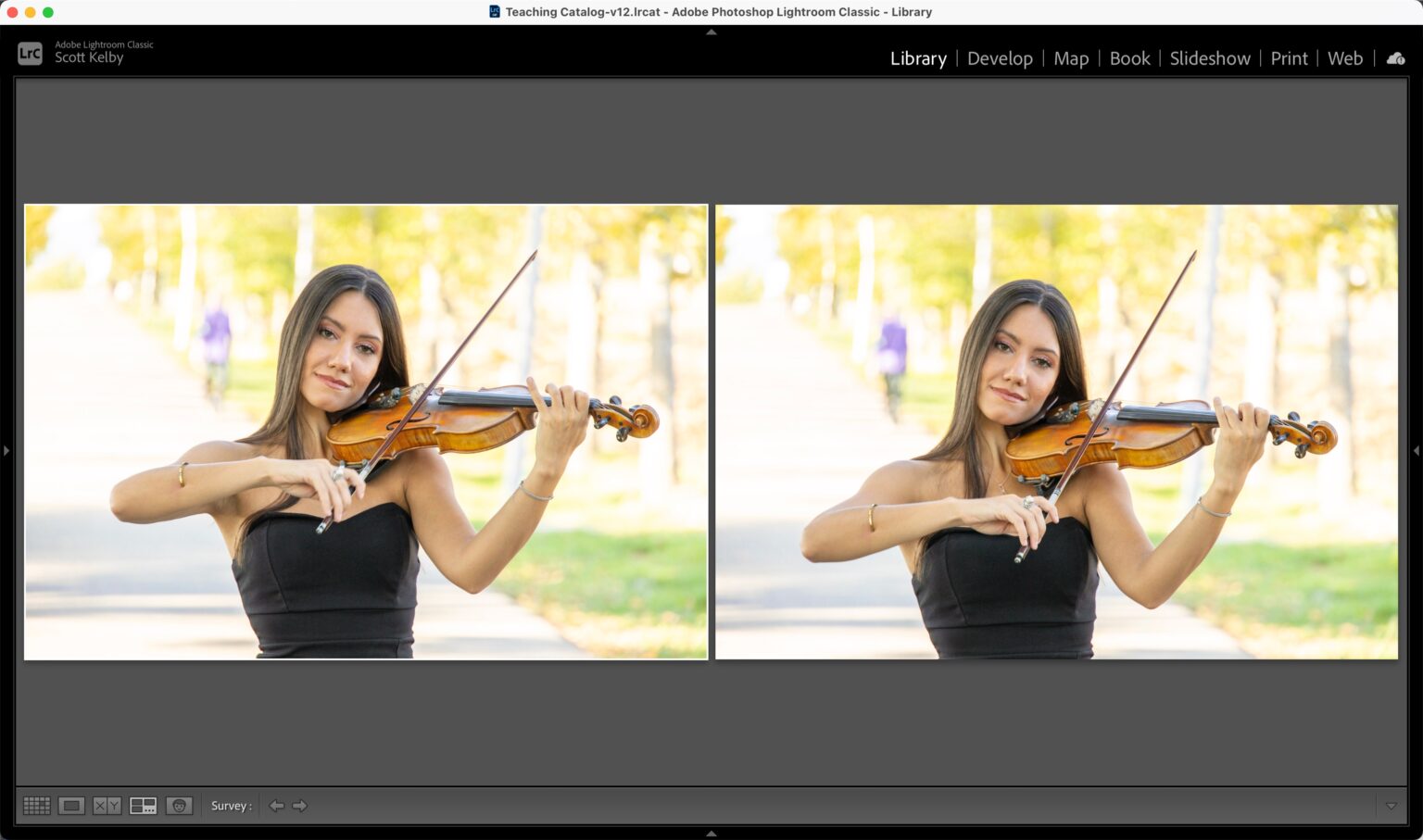 How Lightroom Classic's "Survey Mode" Makes Finding Your Best Image Easier - Lightroom Killer Tips