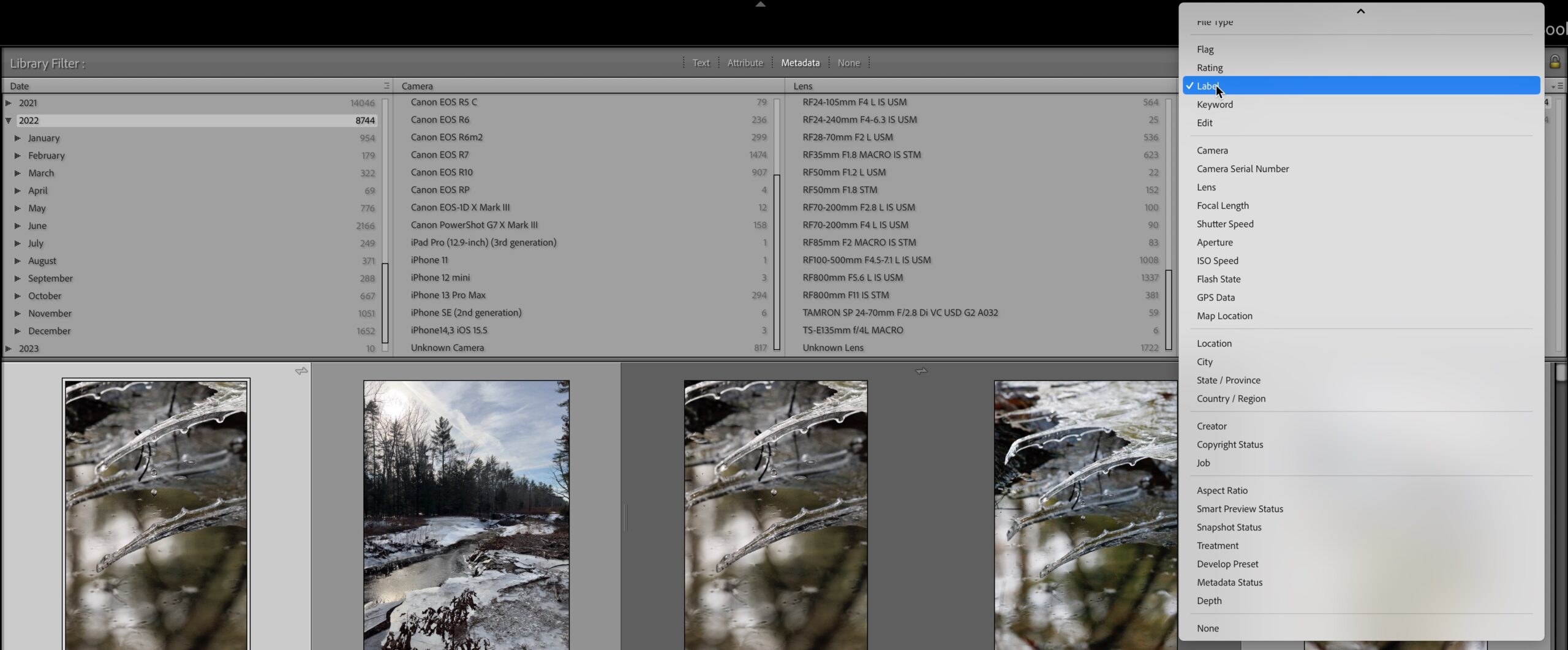Use Library Filters to Look Back at Last Year - Lightroom Killer Tips