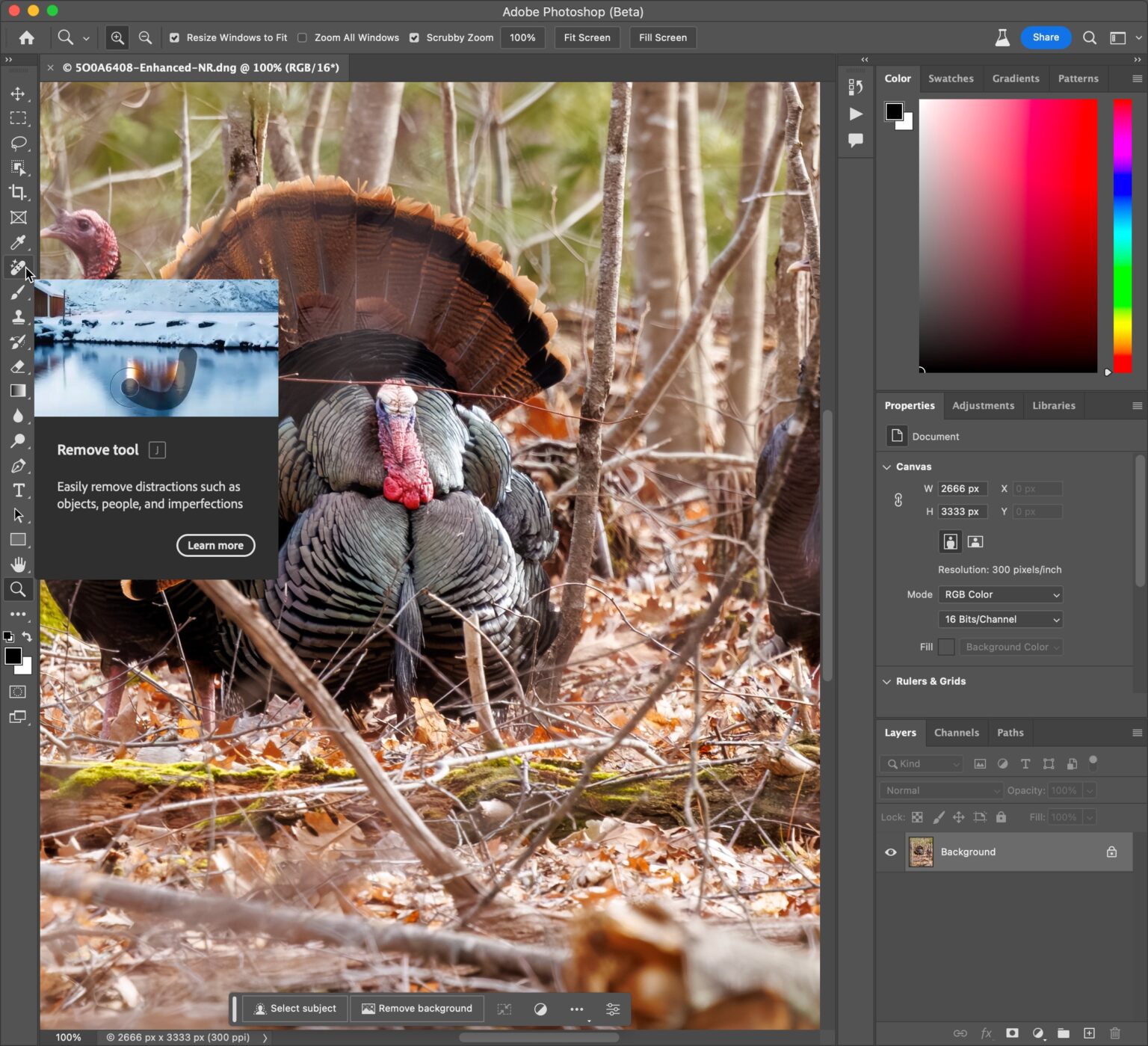 New Options in the Lightroom Classic to Photoshop Workflow - Lightroom ...
