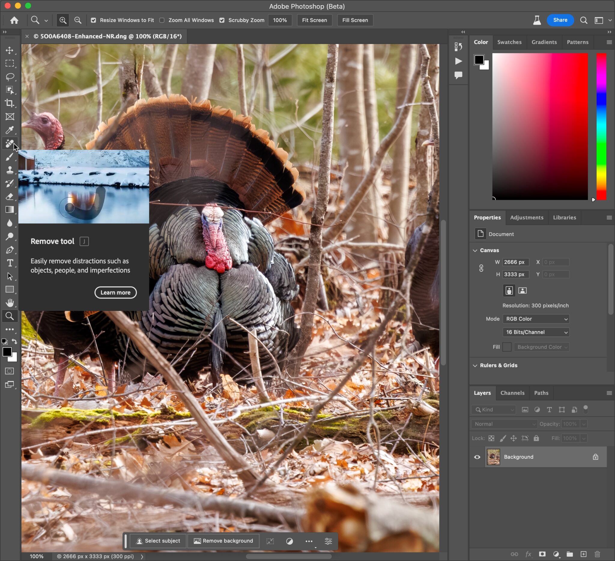 New Options in the Lightroom Classic to Photoshop Workflow - Lightroom Killer Tips