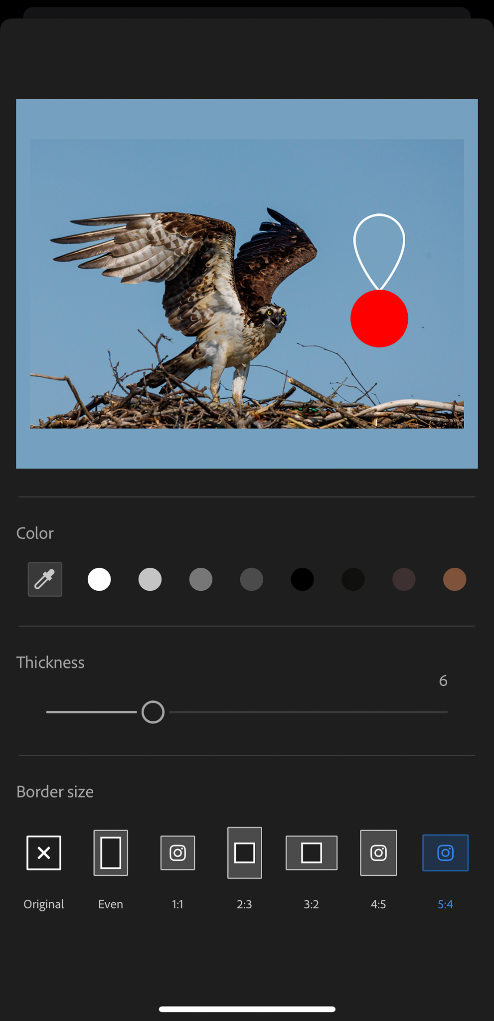Add Border and Share - Lightroom Killer Tips