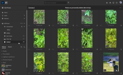 Getting to Know Lightroom Web - Lightroom Killer Tips