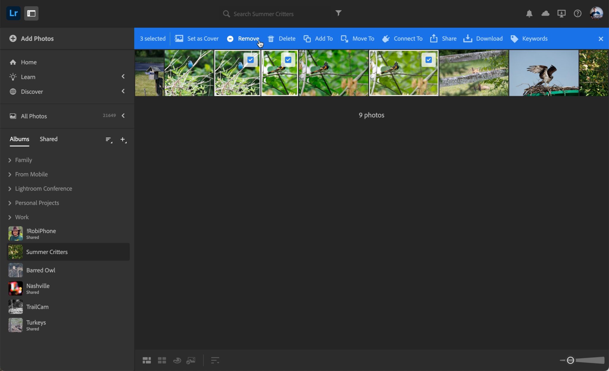 Getting to Know Lightroom Web - Lightroom Killer Tips