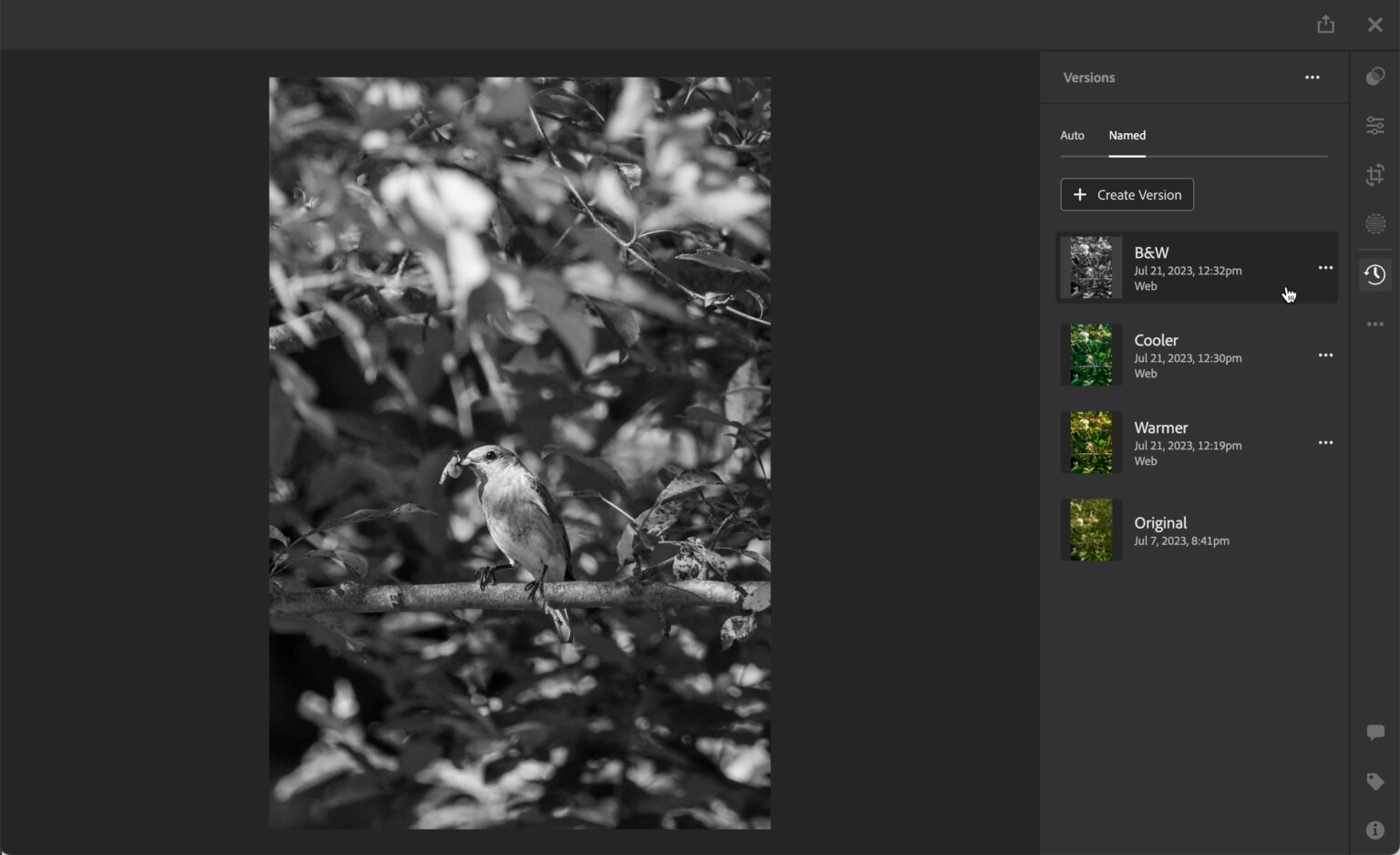 Getting to Know Lightroom Web - Lightroom Killer Tips